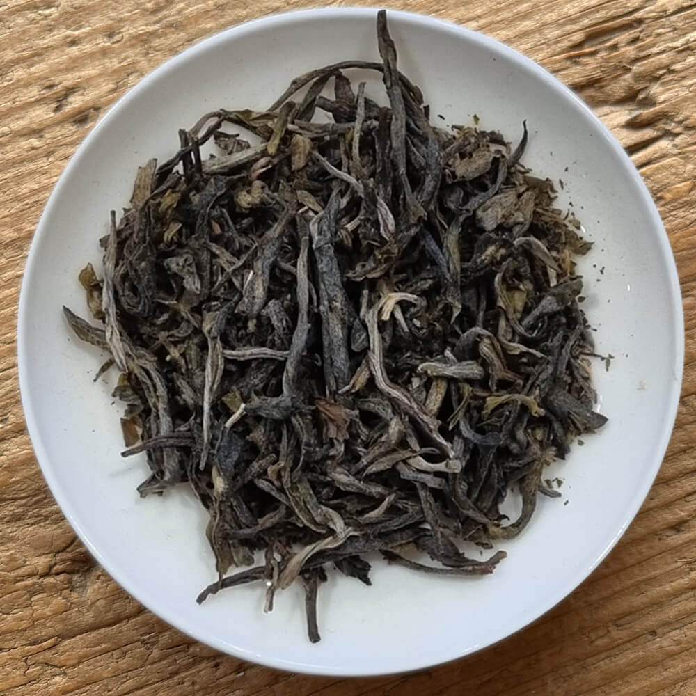 Ancient Pu'er Sheng Tea (Raw) – melange.